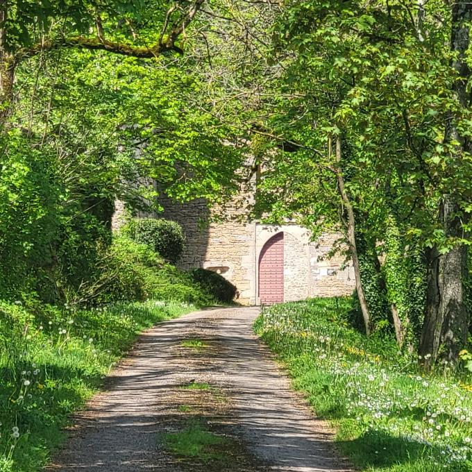 Château du Pin - Tourisme. Que voir et faire?