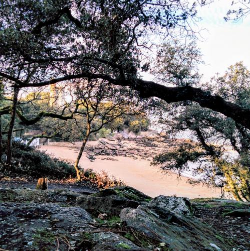 Île de Noirmoutier / Plage de l'Anse Rouge - Présentation et avis des ...