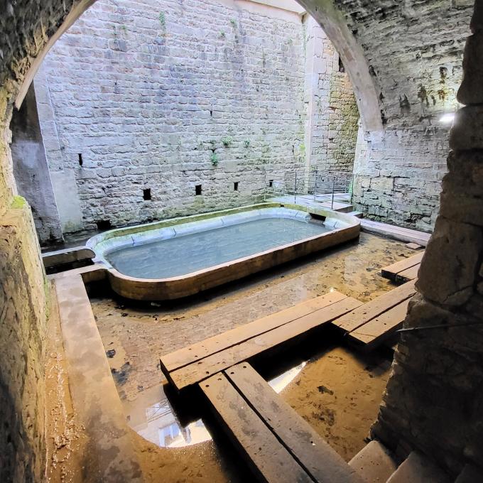 Dole - Fontaine des Lépreux - Passage Raynaud III. Présentation et avis ...