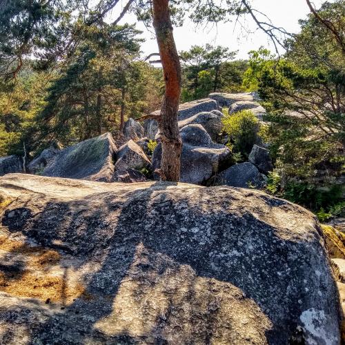 Forêt de Fontainebleau - Gorges de Franchard. Présentation et avis des ...