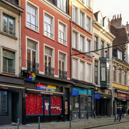 Lille, visite et tourisme. Top 10 de ce qu'il faut voir, faire et visiter.