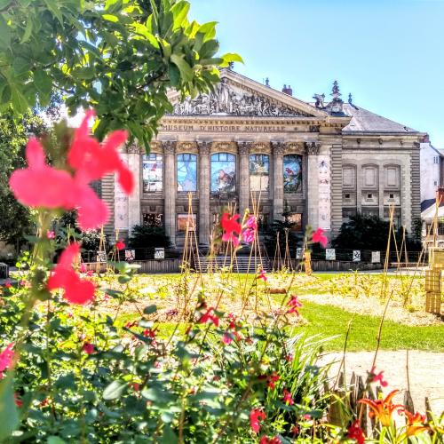 Nantes - Museum d'Histoire Naturelle. Présentation et avis des voyageurs.