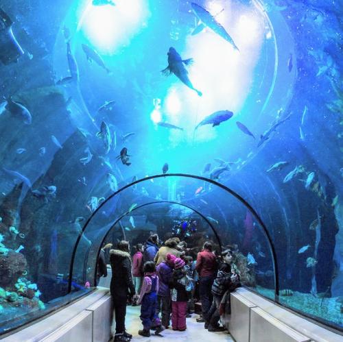 Québec - Aquarium du Québec. Présentation et avis des voyageurs.