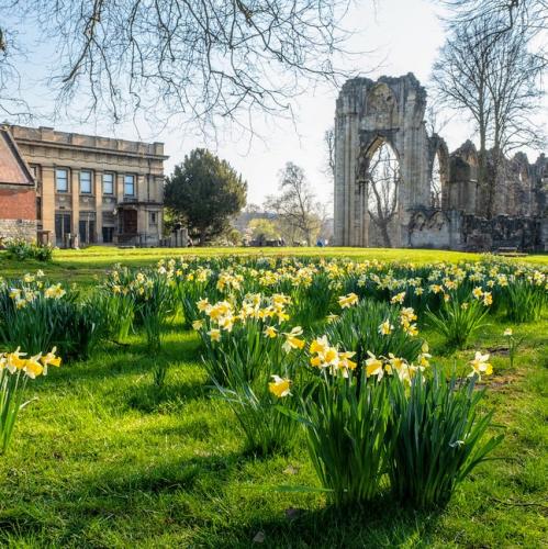York - Museum Gardens. Présentation et avis des voyageurs.